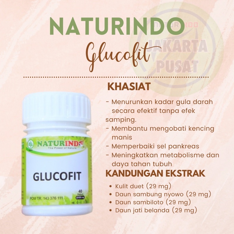 Jual Obat herbal diabetes diabet basah kering gula darah penurun gula ...
