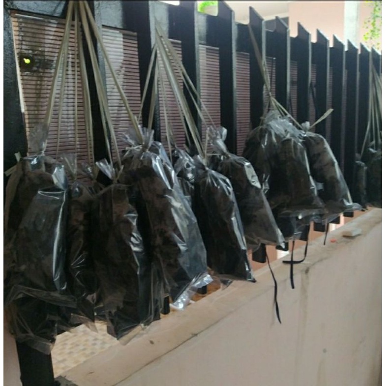 Jual Areng Kayu Areng Kayu per kantong | Shopee Indonesia