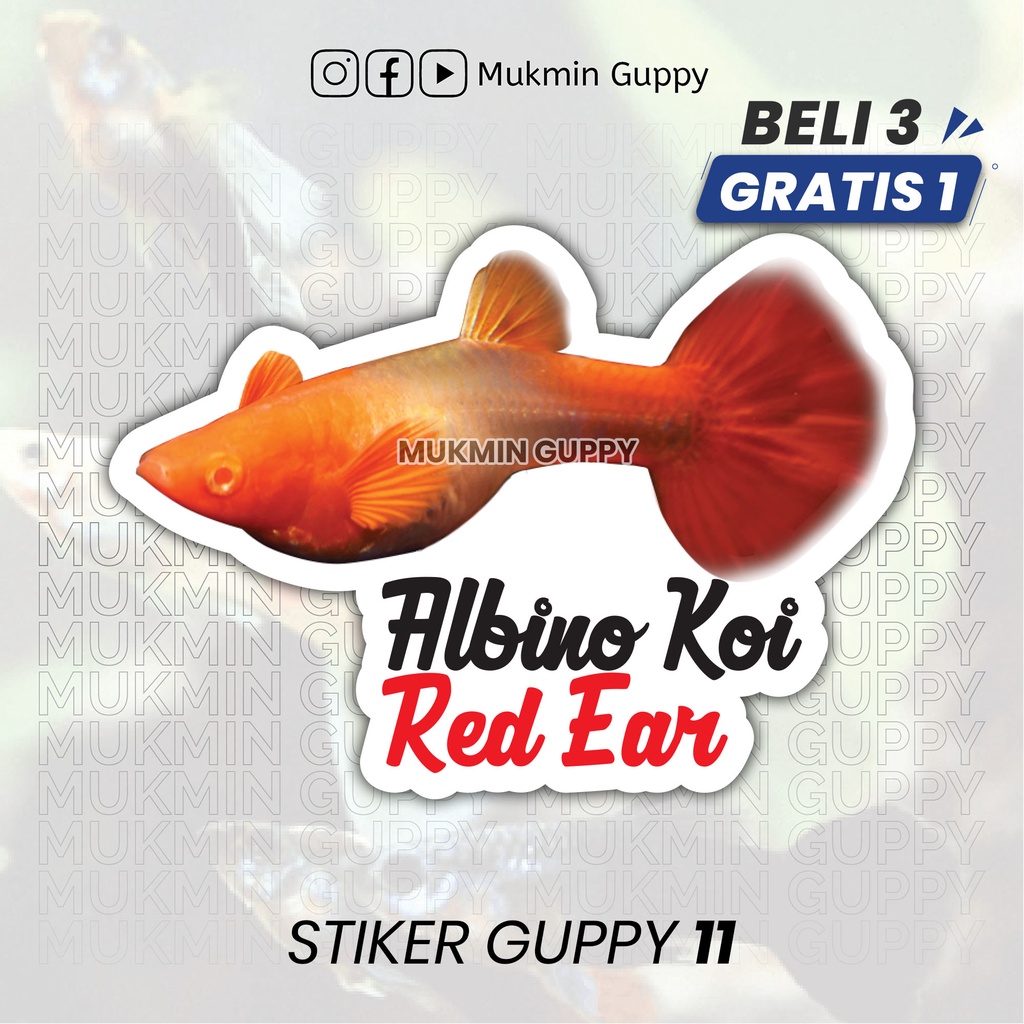 Jual Stiker Guppy (11) Albino Koi Red Ear | Shopee Indonesia