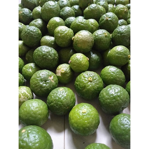 Jual jeruk limau / jeruk sambal / jeruk sambel | Shopee Indonesia