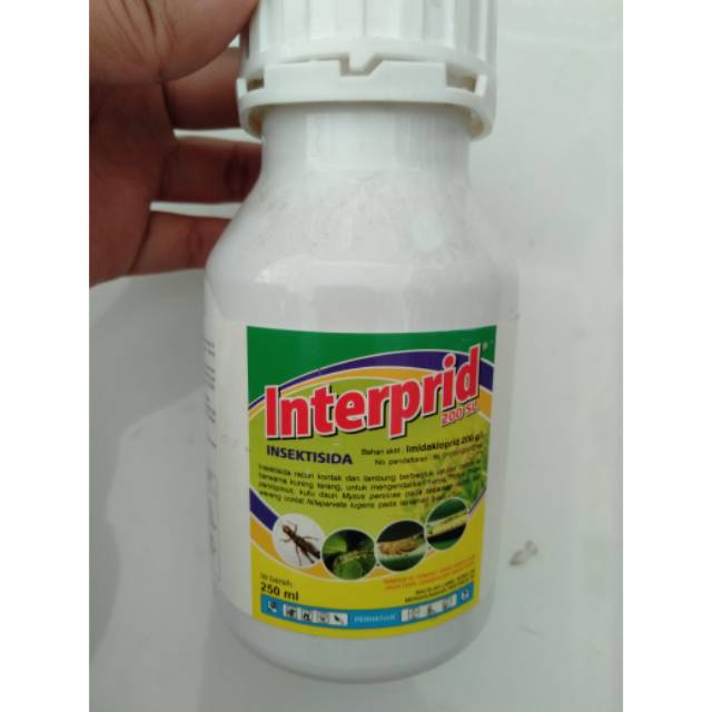 Jual INTERPRID 200 SL insektisida 250ml imidakloprid | Shopee Indonesia