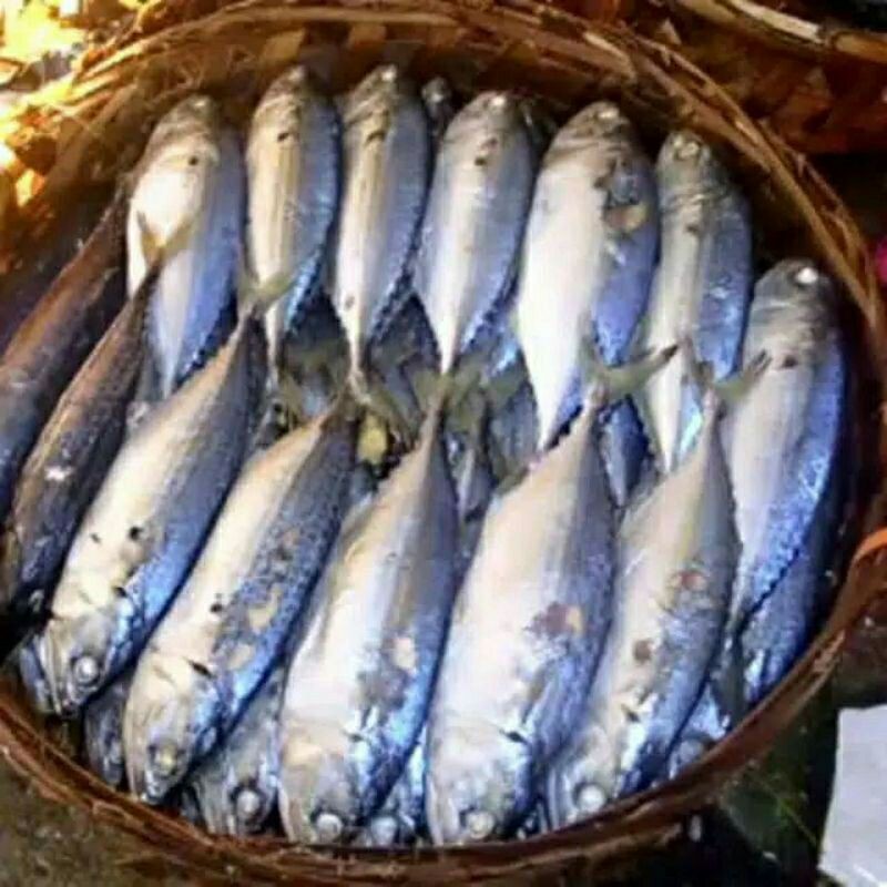 Ikan Kembong Rebus in Philippines - NoeqoPatton