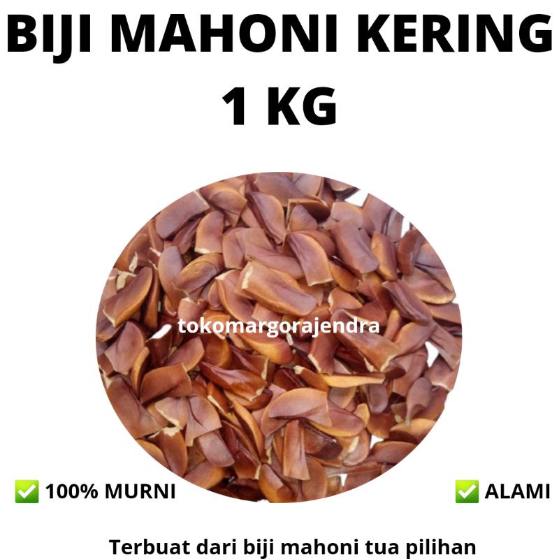Jual Biji Mahoni 1kg Kering Tua Murni | Shopee Indonesia