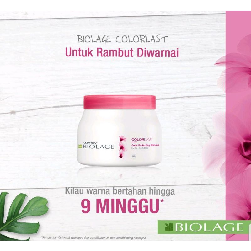 Jual Matrix biolage hair masque color last 490 gram ( masker rambut ...