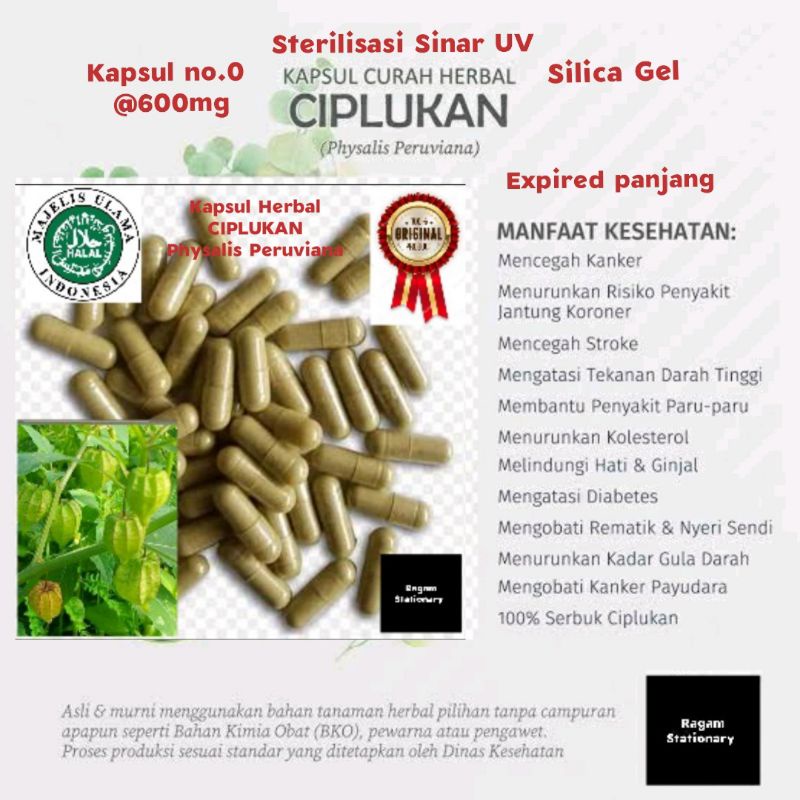 Jual Kapsul bubuk Ciplukan herbal jamu obat curah 100 butir | Shopee ...