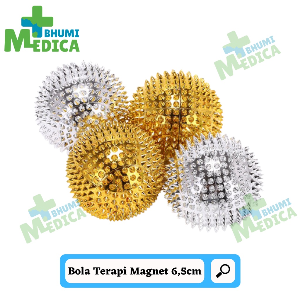 Jual Bola Terapi Kesehatan Bola Akupuntur Duri Magnet Refleksi Stroke ...