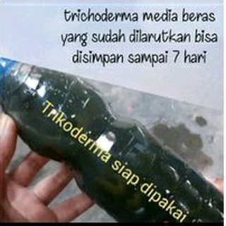 Jual Jamur Trichoderma Harzanium F1 Media Beras 350 gram | Shopee Indonesia