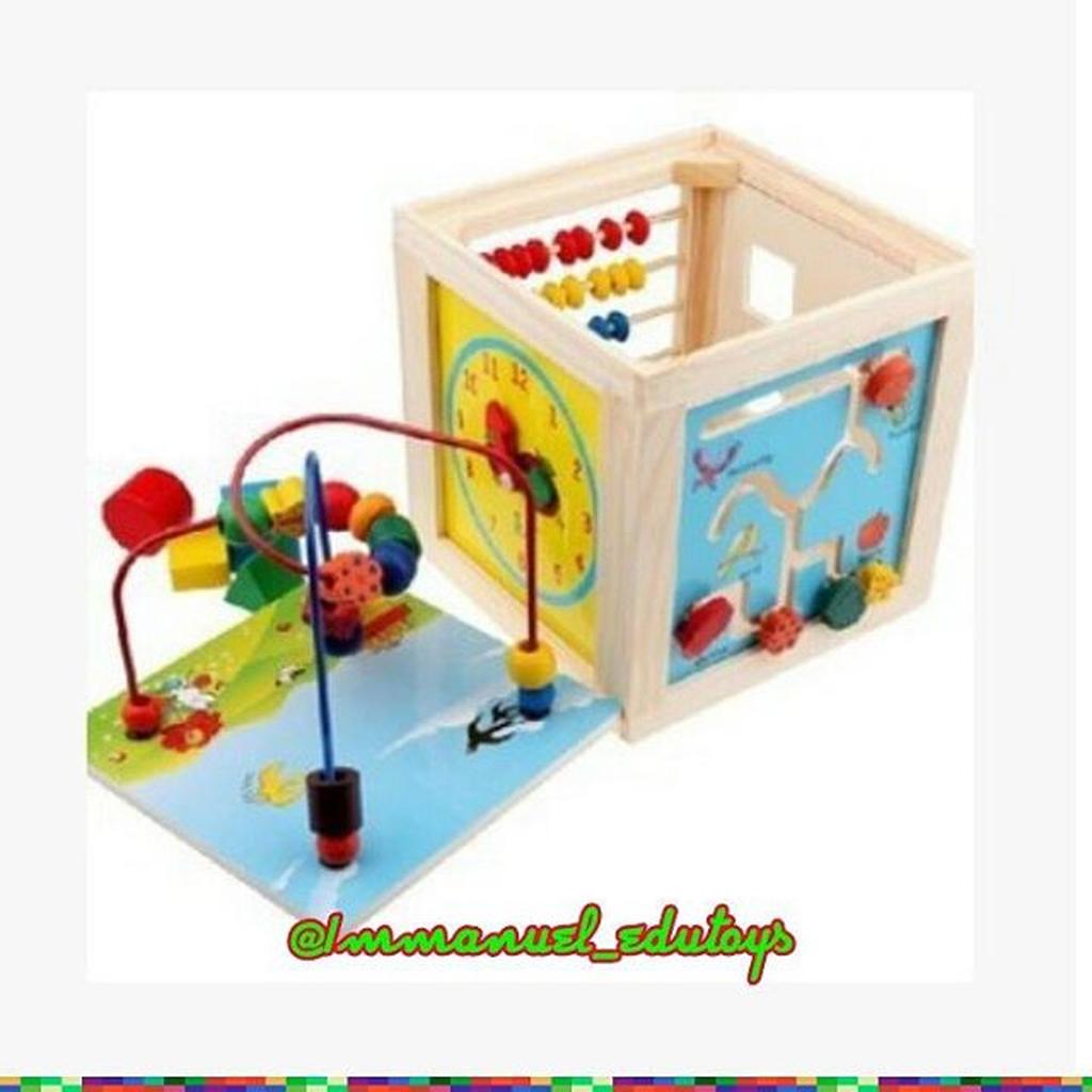 Jual Mainan Edukasi Game Multi Wire Import ( wire, sempoa, jam, sortasi ...