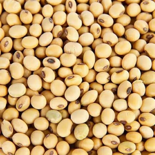 Jual Kedelai Putih Kuning Lokal 500gr Mpasi Susu Dele | Shopee Indonesia