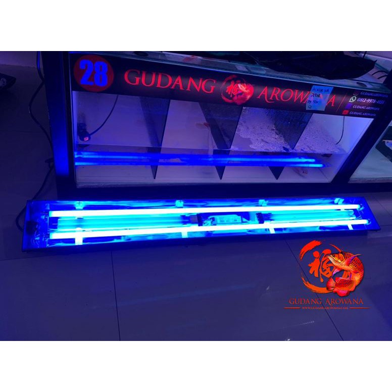 LAMPU TANNING ARWANA 100CM (2 pll philips kuning + 2 aquazonic biru ...