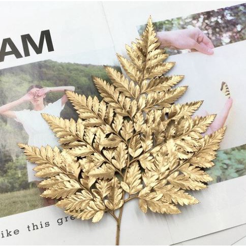 Jual Daun Pakis Emas Kering Lokal | Daun Paku Kering | Dried Natural ...