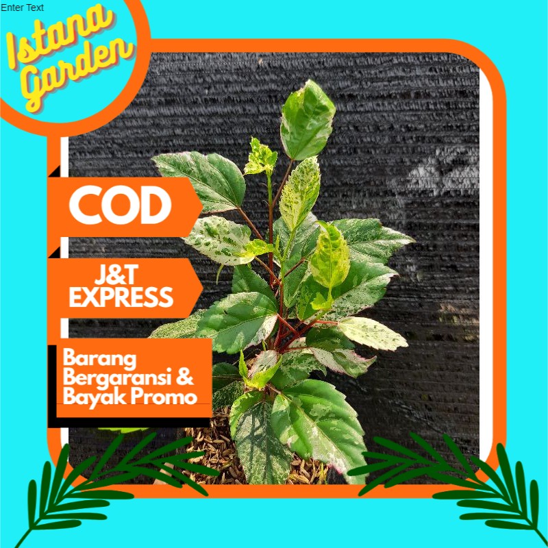 Jual Bunga hias sepatu varigata cantik cantik dan berkulitas | Shopee ...