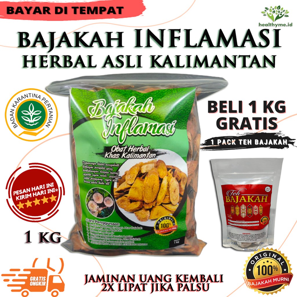 Jual Bajakah Inflamasi / Kayu Akar Bajaka Asli Kalimantan - 1 KG ...
