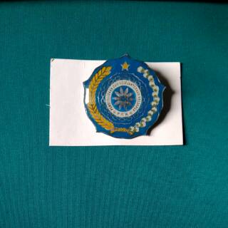 Jual Pin pkk ada warna biru dan hijau | Shopee Indonesia