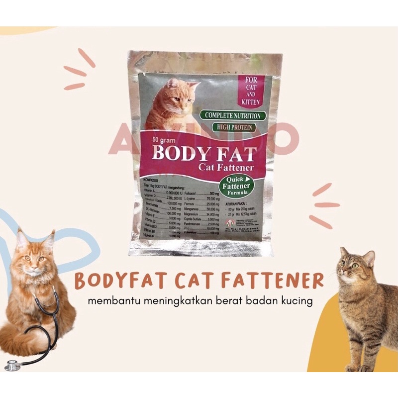 Jual BODY FAT Cat 50gr Penambah Berat Badan Kucing Penggemuk | Shopee ...