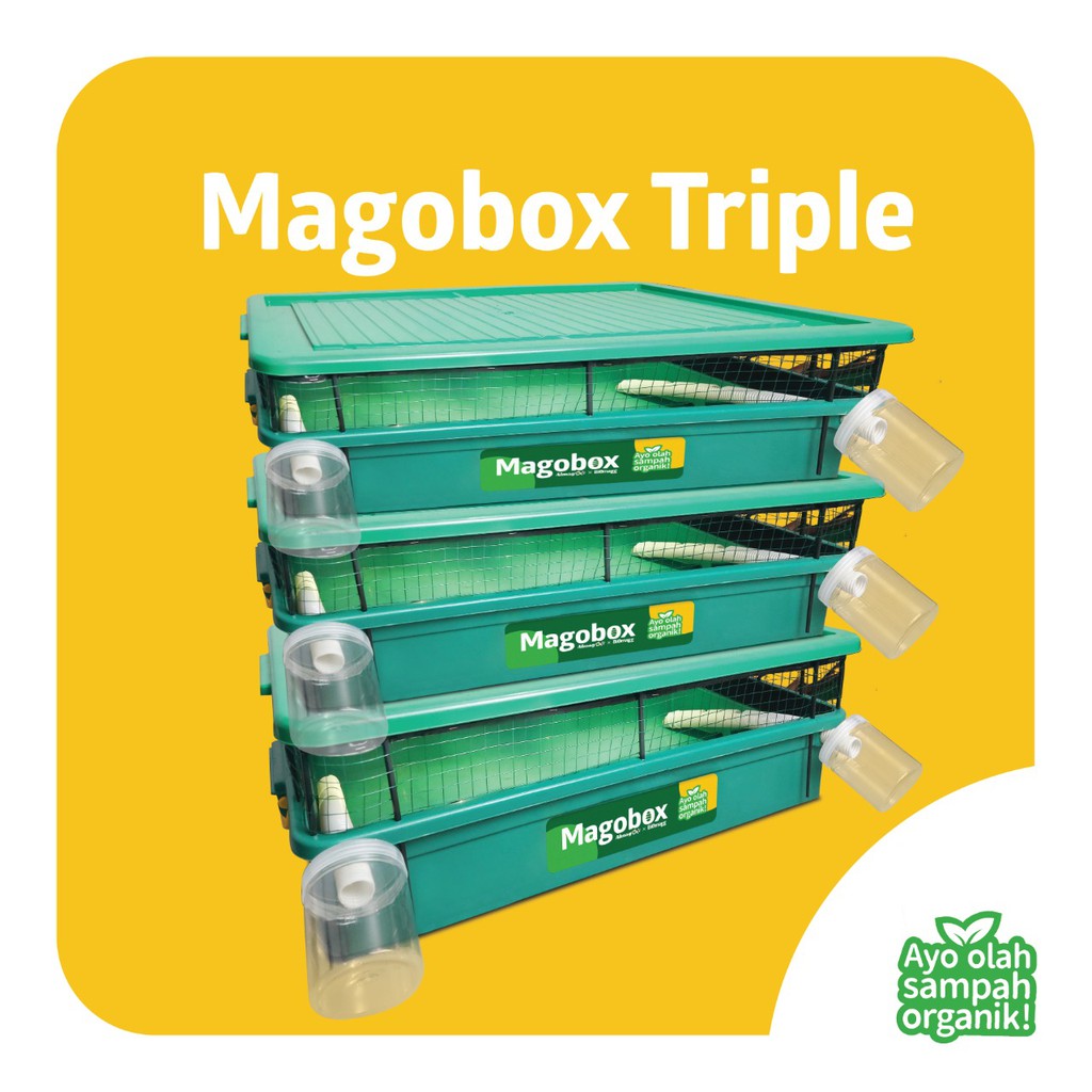 Harga Magobox Terbaru Oktober 2021 | BigGo Indonesia