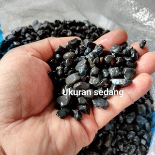 Jual Batu Alor bali / Batu Hitam / Aquascape / 1 kg | Shopee Indonesia