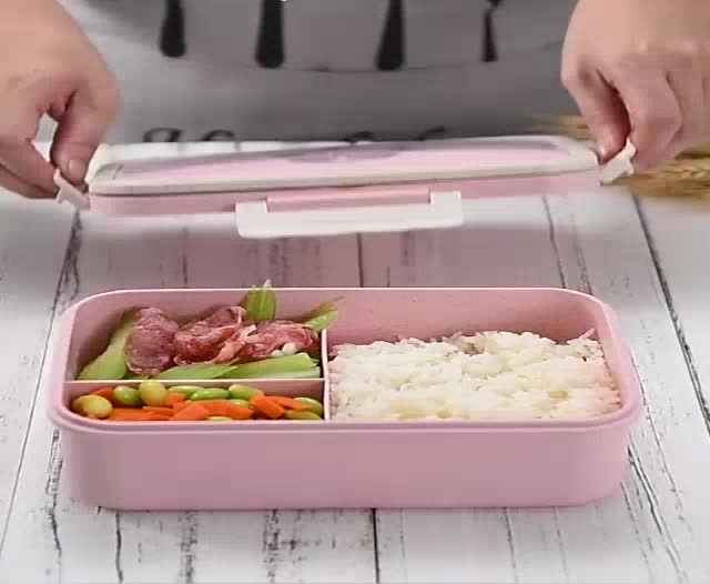 Ecentio lunch box 3 Warna PP Jerami Gandum 1000 ml Lunch Box With Free ... Ecentio lunch box 3 Warna PP Jerami Gandum 1000 ml Lunch Box With Free ...