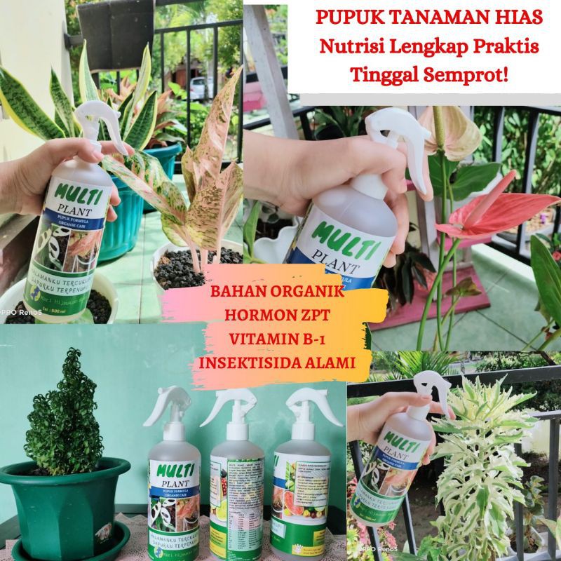 Jual Pupuk Tanaman Hias | Pupuk Organik Cair tanaman hias pupuk daun ... Jual Pupuk Tanaman Hias | Pupuk Organik Cair tanaman hias pupuk daun ...