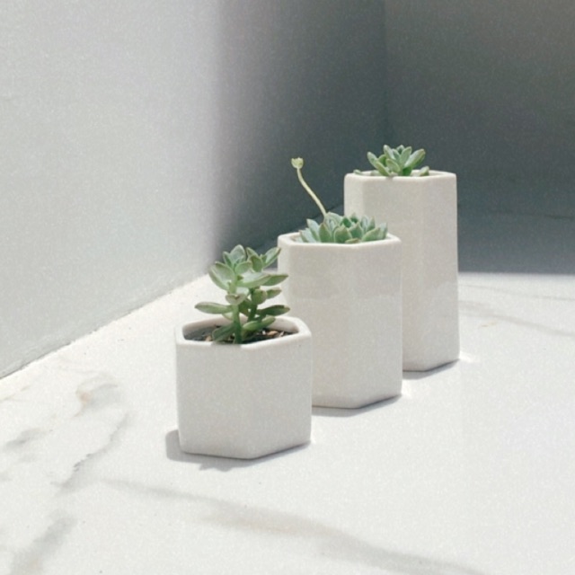 Produk Ruku_ruku | Shopee Indonesia