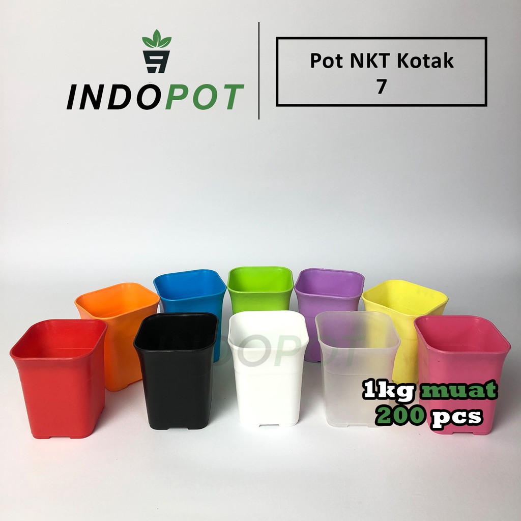 Jual Pot NKT Kotak 7 Cm Warna-Warni Tanaman Hias Murah - Pot NKT Mini ...