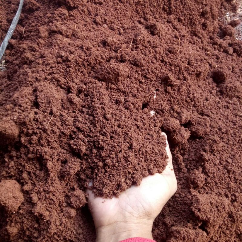 Jual Tanah merah 1kg-tanah merah super murni untuk tanaman hias ...