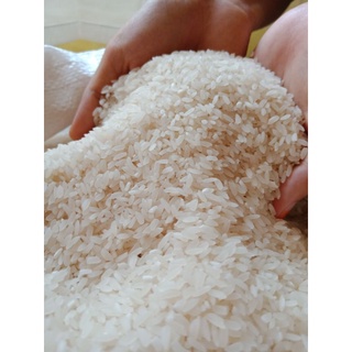 Jual Beras Padang Solok-Bujang Marantau 1kg | Shopee Indonesia