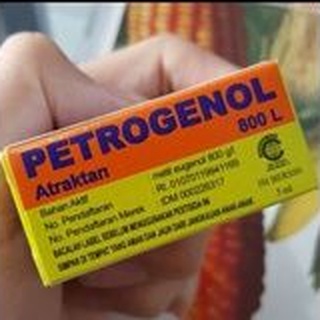 Jual Petrogenol Atraktan 5 ml, Perangkap Lalat Buah | Shopee Indonesia