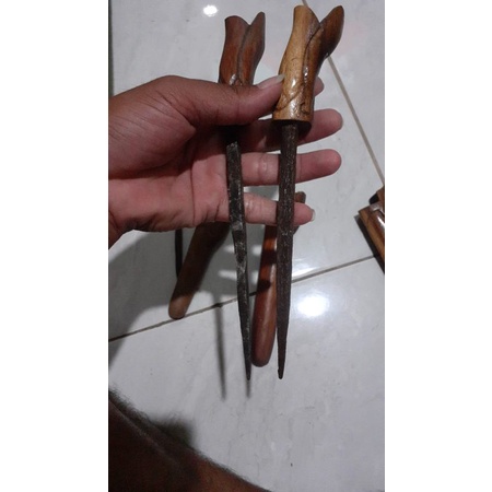 Harga paku bumi Terbaru Jun 2026 | BigGo Indonesia