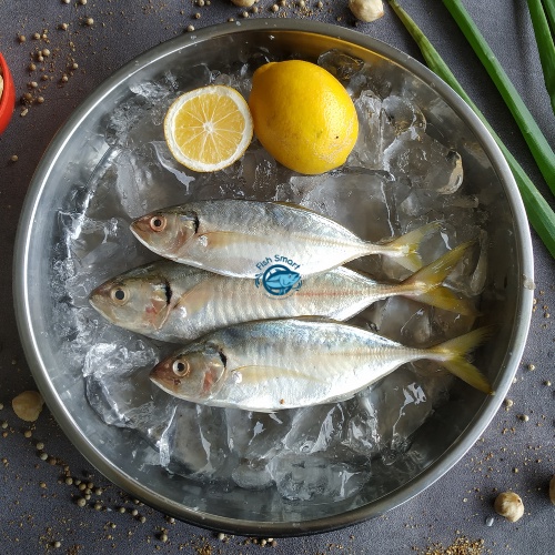 Jual Kembung Como Segar Tangkapan Harian Bukan Beku | Shopee Indonesia