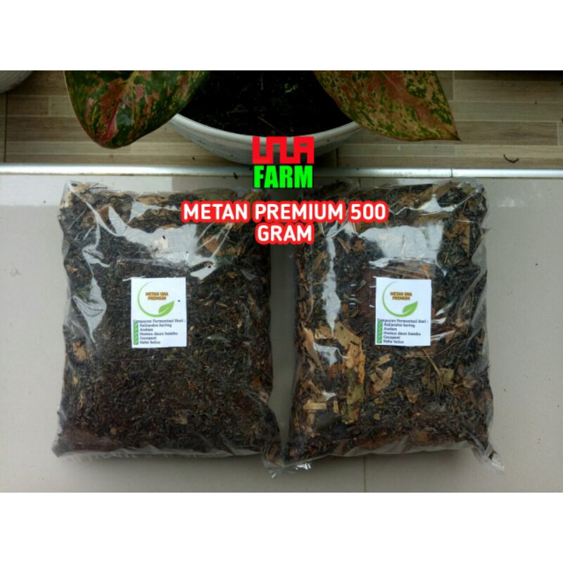Jual Media tanam premium siap pakai 500 gram (andam+daun bambu ...