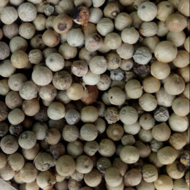 Jual LADA/merica bulat 100gr | Shopee Indonesia