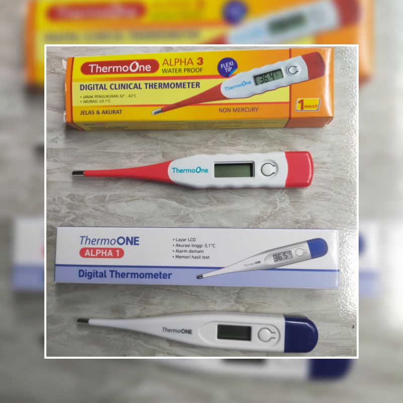 Jual Termometer Air Raksa / termometer digital thermoone onemed alpha ...