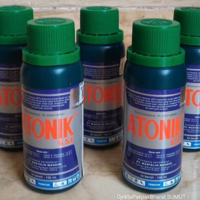 Jual Obat Hormon ATONIK/ZPT 100 Mg (Zat Penumbuh Tunas Daun) Penyubur ...