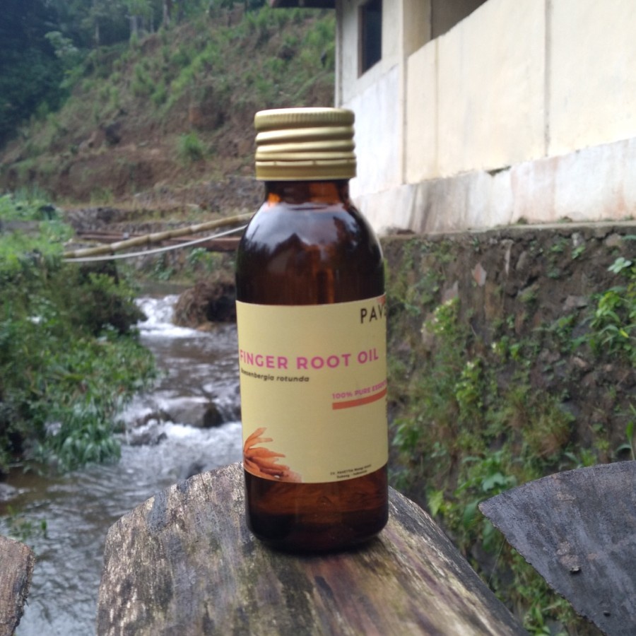 Jual 100 ml - minyak atsiri temu kunci / finger root essential oil ...