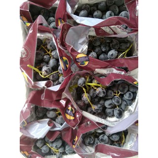 Jual Buah Anggur Hitam Adora Black Seedless Grapes Fresh Per Pack ...