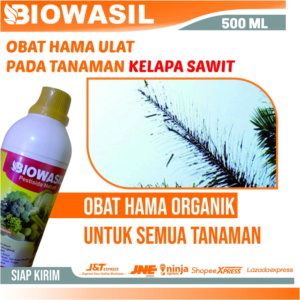 Jual Insektisida Hama Ulat Daun Pada Pohon Kelapa Sawit - BIOWASIL 500 ...