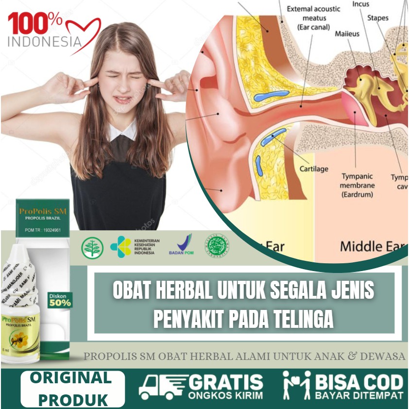 Jual OBAT SAKIT TELINGA TINNITUS TELINGA BERNANAH BERAIR CUREK BAU ...