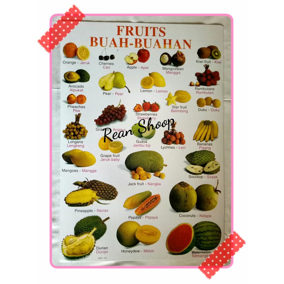 Jual mainan poster edukasi belajar anak seri fruits fruit buah buahan ...