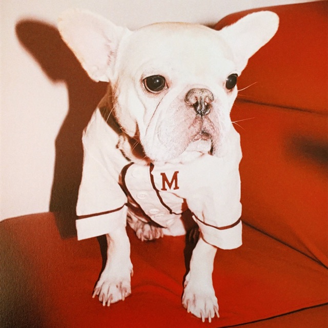 Produk GO - CHEMER | Shopee Indonesia