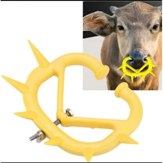 Jual Alat Penyapih Anak Sapi Kerbau Kuda - Calf Weaner Nose Ring ...