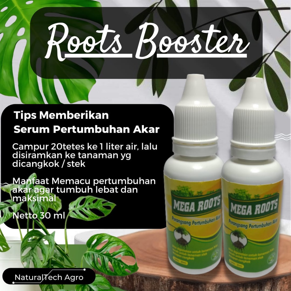 Jual Promo COD Pupuk Booster AKAR Mega Roots 30ml Pupuk Cair Organik ...