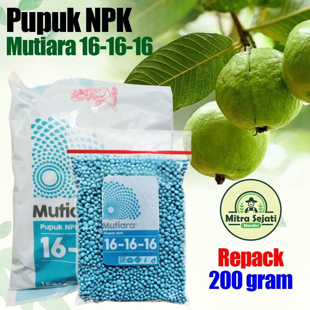 Jual Pupuk NPK Mutiara 16 16 16 Meroke 200 gram Meroke Kemasan Repack ...