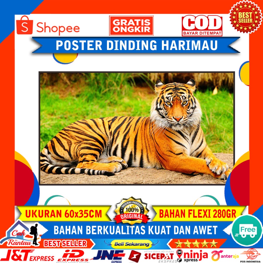 Jual Poster Dekorasi Gambar Harimau Indonesia|Shopee Indonesia