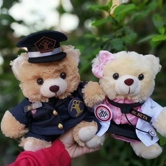 Jual Boneka Profesi Teddy Bear / Boneka Koki, Polisi, Bidan, Perawat ...