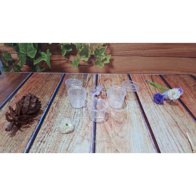 Jual CUP SAMBAL TP 25 ML / TEMPAT SAOS PLASTIK / SAUCE CONTAINER 1 Roll ...
