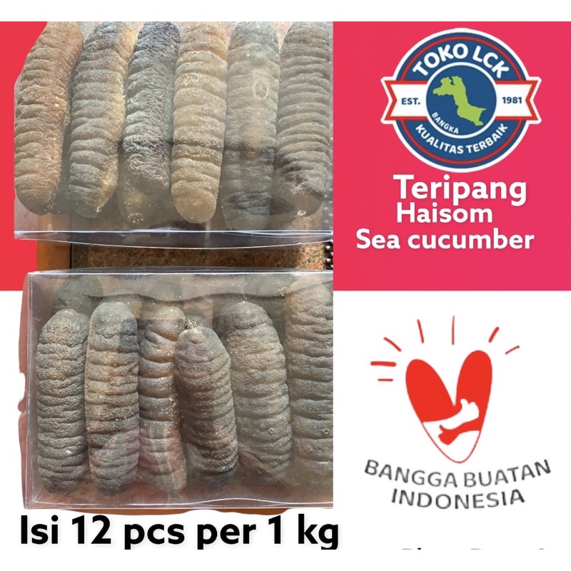 Jual Teripang / Haisom Pasir (nyuk sem) 1KG Asli Bangka -LCK Indonesia ...