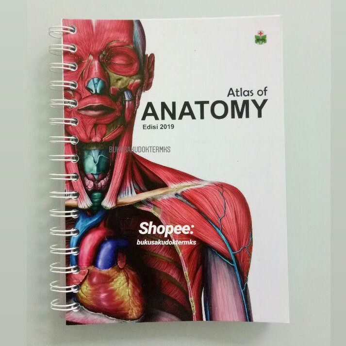 Jual Rangkuman Atlas Anatomi Kedokteran | Sobotta | Netter | Grays Anatomy | Rangkuman Atlas ...