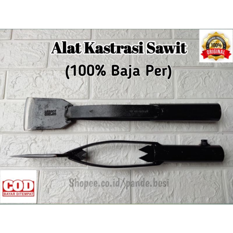 Jual ALAT KASTRASI SAWIT / DODOS KASTRASI SAWIT / ALAT BUANG BUNGA ...