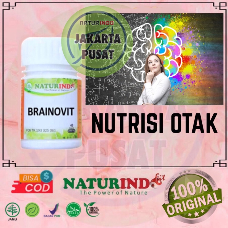Jual Vitamin Otak Nutrisi Otak Obat Herbal Meningkatkan Daya Ingat Otak ...